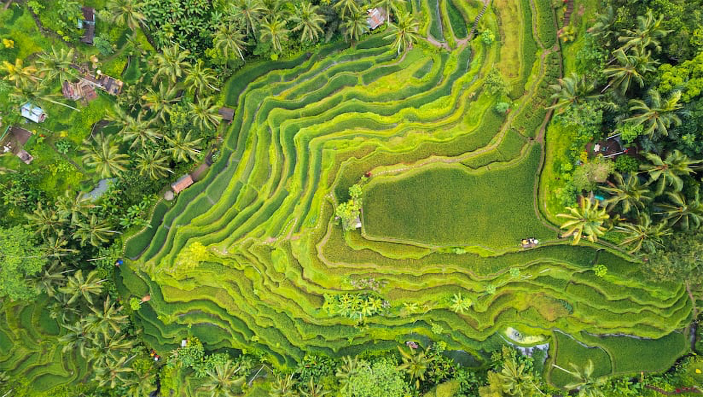 British biofertiliser start-up NZN eyes Asia after raising $6.6 mm ...